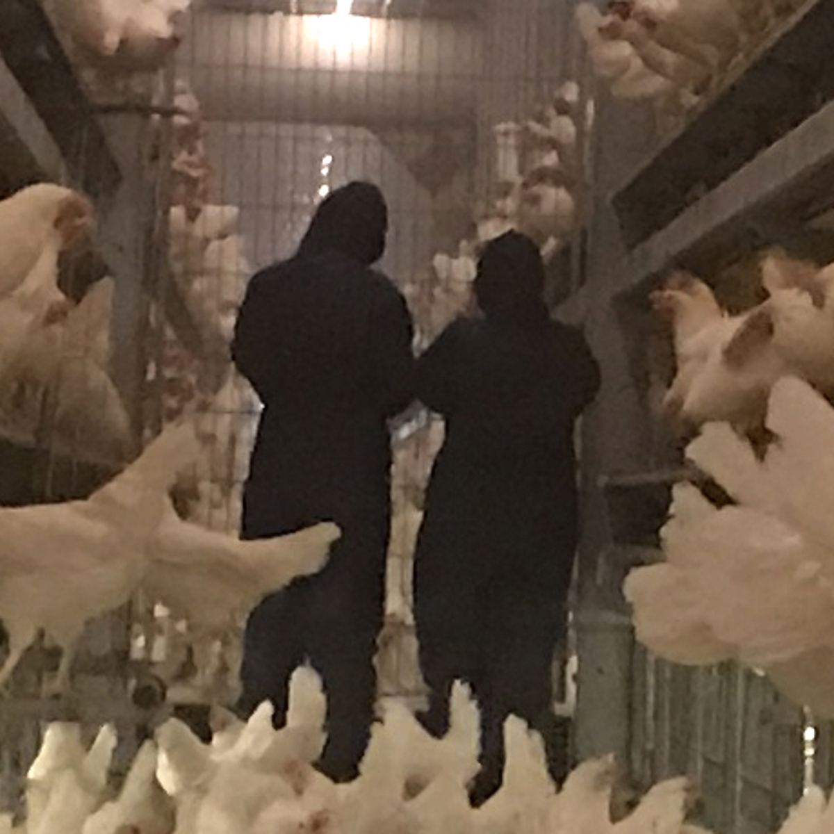 Développement de stratégies pour les bâtiments respectant les nouvelles ...